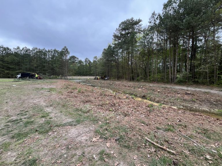 Lot Clearing and Site Prep: What Is It? - The Tree People