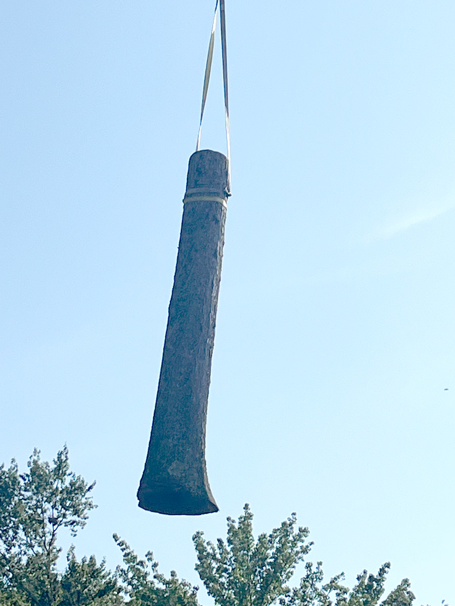 Crane-Assisted Removals for Large or Difficult Trees - The Tree People